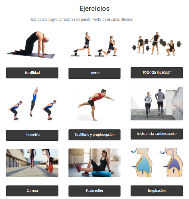 Rutina avanzados :: Michel Fitness Coach